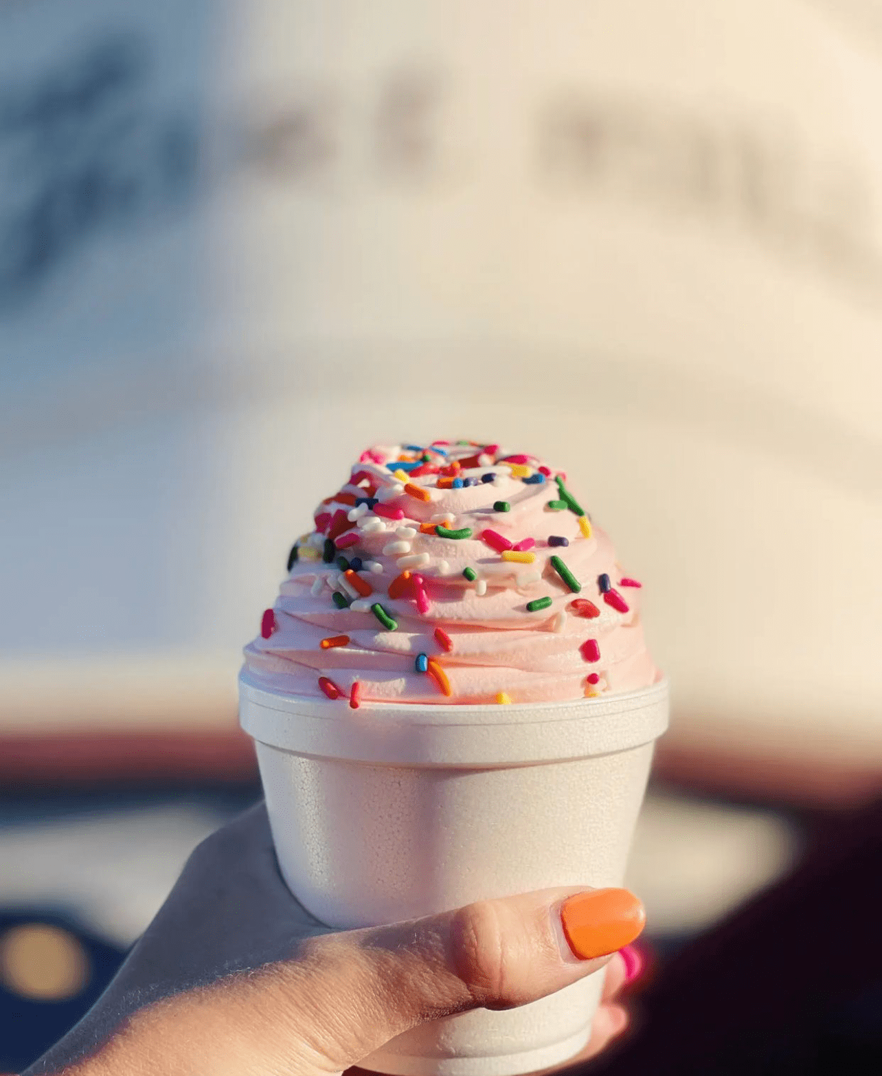 Blog – The Yogurt Mill